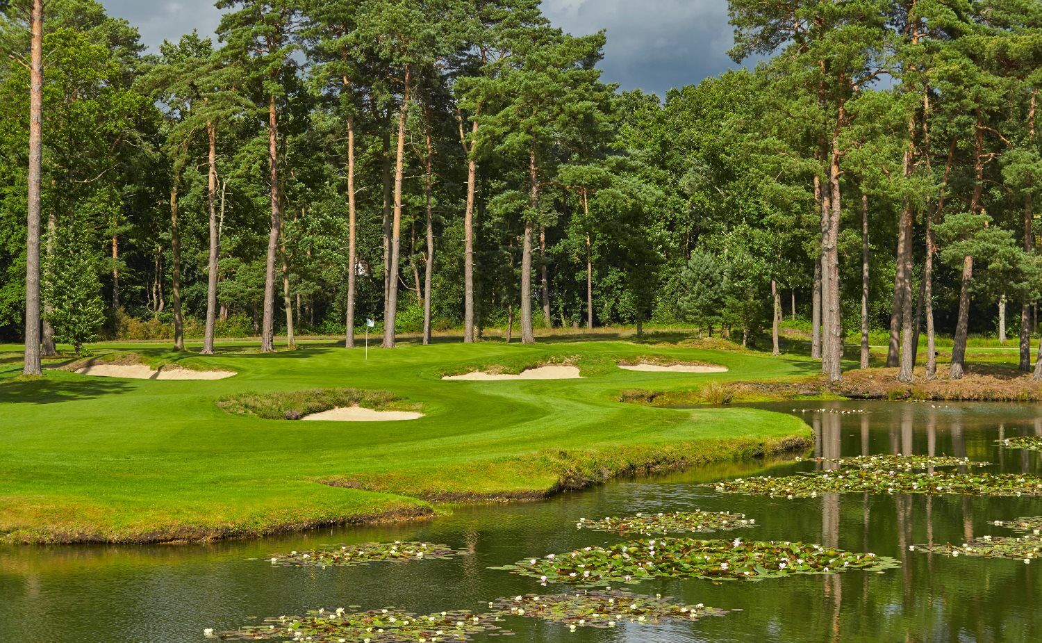 Woking Golf Club, Surrey - MJ Abbott