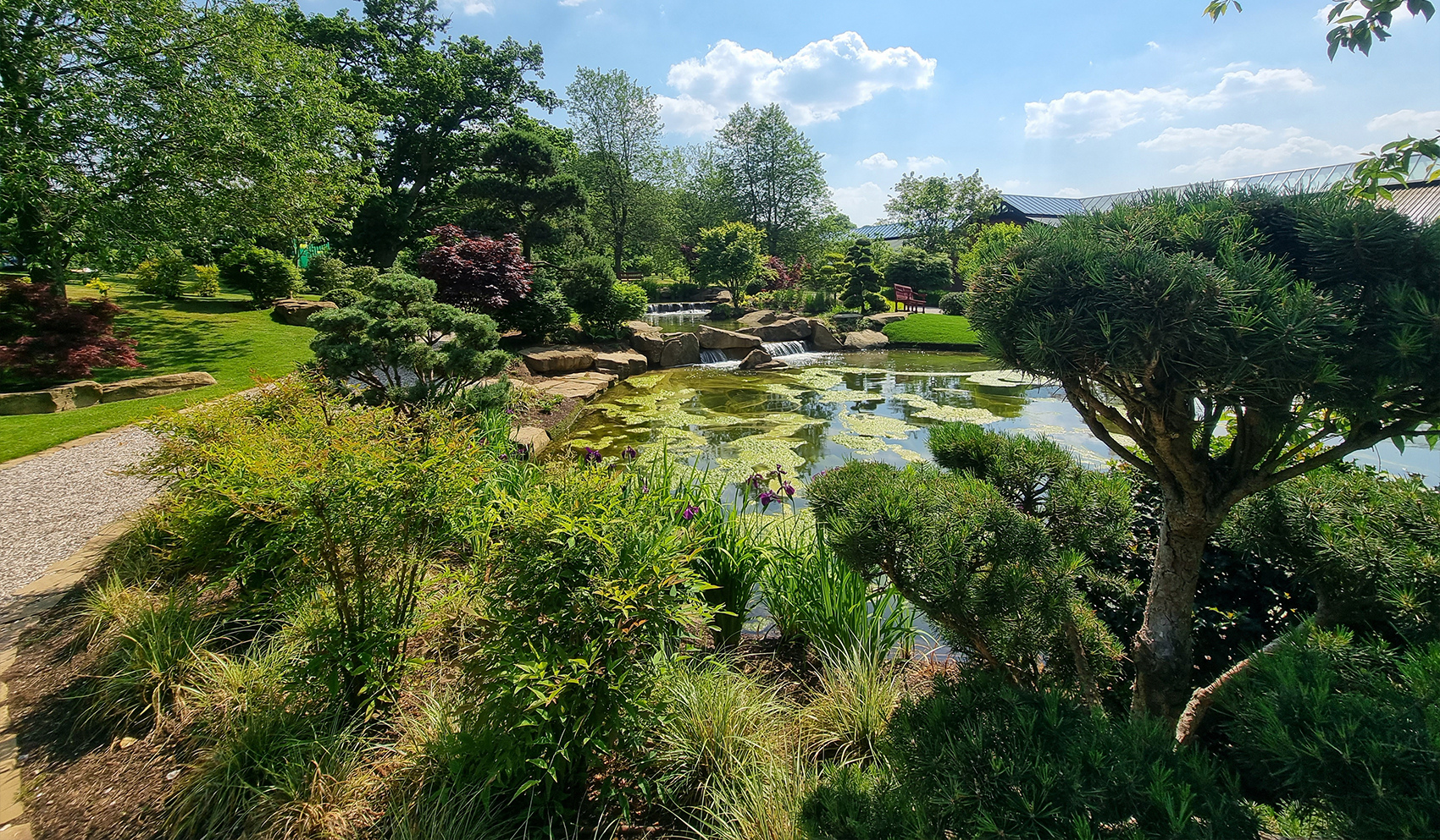 Soft landscaping - MJ Abbott