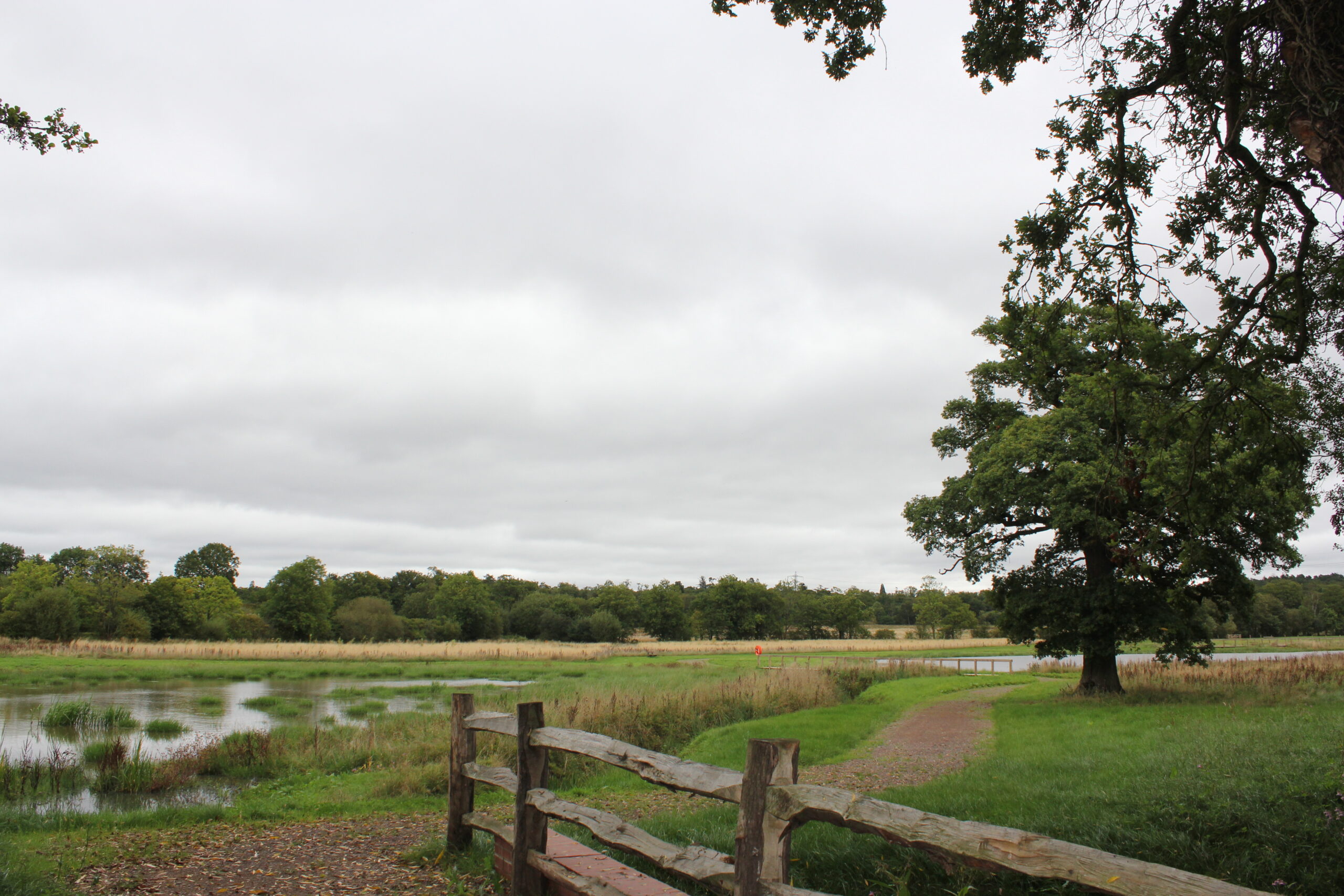 Edenbrook Country Park, Fleet, Hampshire - MJ Abbott